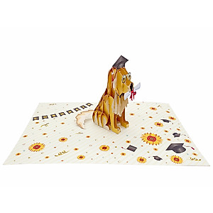 Liif 2024 Graduation Dog 3D Pop Up Graduation Card, Class of 2024, for College, High School, Son, Daughter, PHD, Master