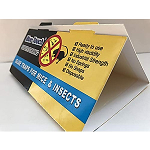 Blue-Touch Mouse Glue Traps, Peanut Butter Scented Best glue traps glue boards for mice, insects and crawling pests. 8.5x5.5 inches, 1.1 OZ – 100 Traps/Box