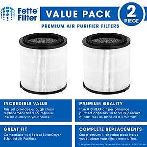 Fette Filter - H13 True HEPA Replacement Filter, Compatible with SilverOnyx 5-Speed Air Purifier KJ150F-C02, 4-in-1 H13 Grade True HEPA filter, For Large Room 500 sq ft, 2-Pack