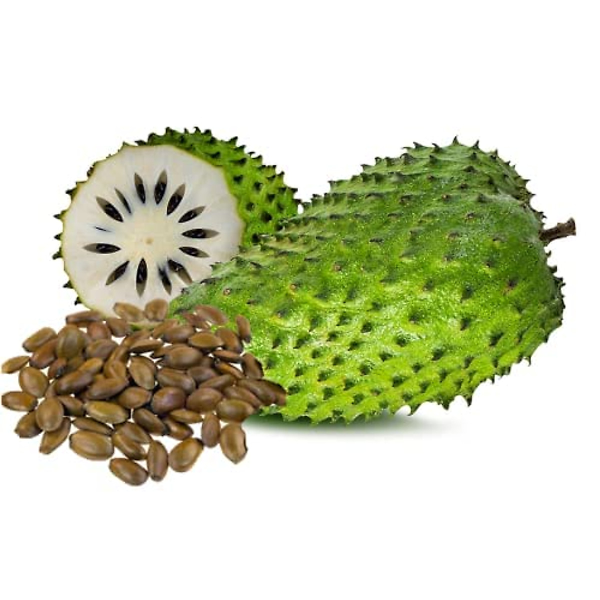 PENDING 20 Soursop, Graviola, Guanabana, Paw-paw, Sirsak, Prickly Custard, Annona Muricata Seeds- White Fleshed Exotic Fruit!, Seeds