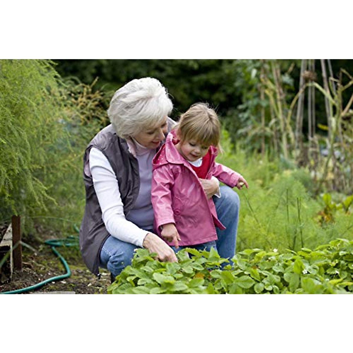 Zycal Bioceuticals Ostinol Standard, 450 Mg, 30 Count