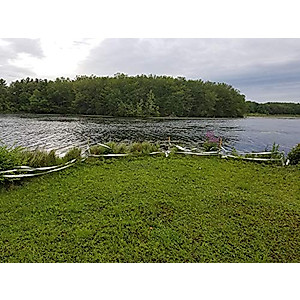 GOETOR Bird Scare Tape Ribbon Flash Double Sided Reflective Ribbon 298 Feet