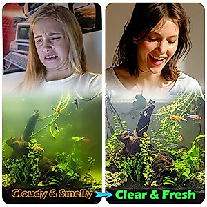 TARARIUM Aquarium Lamp 3W Mini Fish Tank Clean Green Light Submersible Use in Filter Area for 5-55 Gallon Fish Tank Pond Cloudy Water Clean and Clear