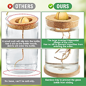 Biggun Avocado Tree Growing Kit - Avocado Pit Planting Bowl with Cork and Wooden Base, Cultivating Seedlings in Novel Way, Great Gift for Family Friends and Gardening Enthusiasts