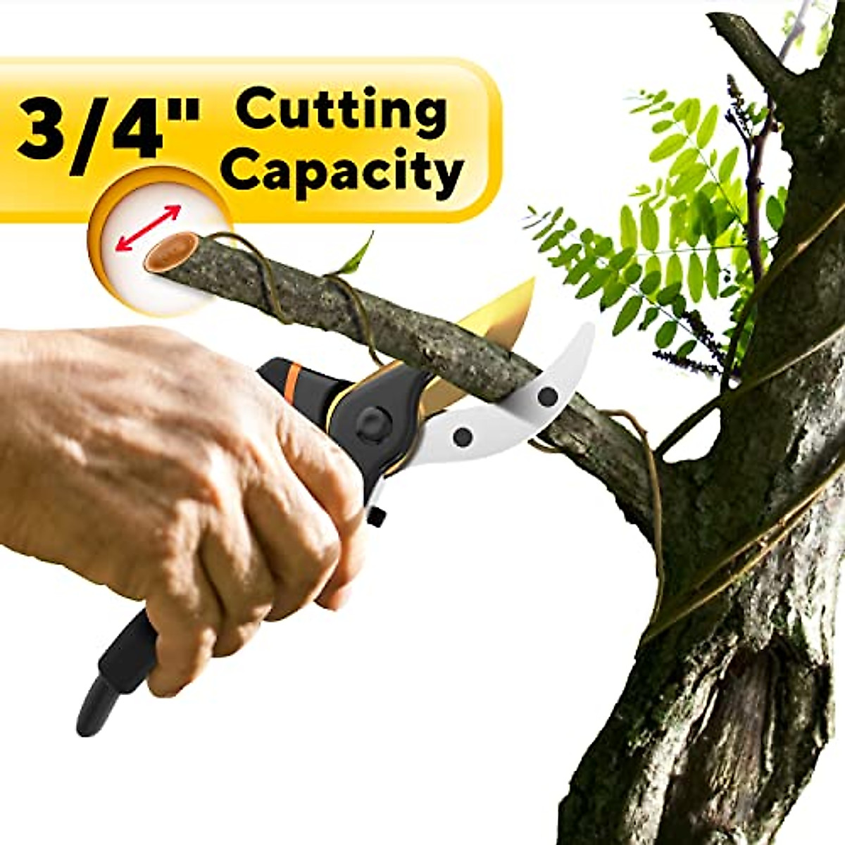 Premium Bypass Pruning Shears for your Garden - Heavy-Duty, Ultra Sharp Pruners w/Soft Cushion Grip Handle Made with Japanese Grade High Carbon Steel - Perfectly Cutting Through Anything in Your Yard