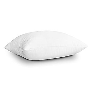 EDOW Throw Pillow Inserts, Set of 2 Lightweight Down Alternative Polyester Pillow, Couch Cushion, Sham Stuffer, Machine Washable. (White, 18x18)
