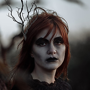 ABOOFAN 3pcs Branch Manzanita Branches Fake Dried Tree Branches Simulation Coral Plant Twigs DIY Antler Headdress Craft Halloween Party Home Decoration