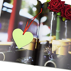 Lystaii 250pcs Heart Shape Paper Valentine Heart Confetti Blank Paper Tags Heart Cutouts 5 Color Gift Tags for Party Favors Wedding Decorations Baby Showers Thank You Card Christmas Cards (5 Color-B)