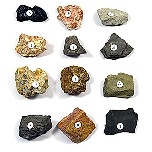 Eisco Sedimentary Rocks Kit - Contains 12 specimens Measuring Approx. 1" (3cm)