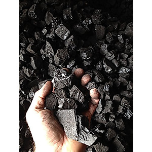 Bituminous Coal 50lbs