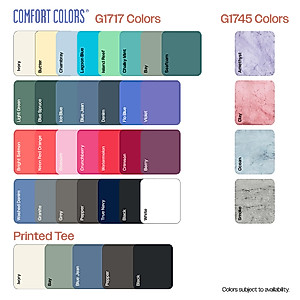 Comfort Colors Adult Short Sleeve Tee, Style G1717, Light Green (1-pack), Large