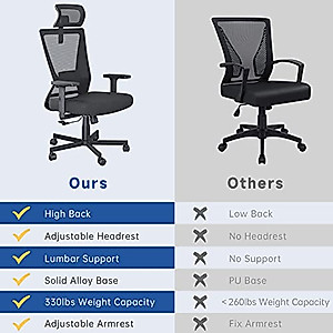 Dripex Ergonomic Office Chair, High Back Desk Chair, Computer Mesh Chair with Lumbar Support, Adjustable Headrest & 2D Armrest, 90°-135°Tilt Function, 360° Swivel Home Office Task Chair, Black