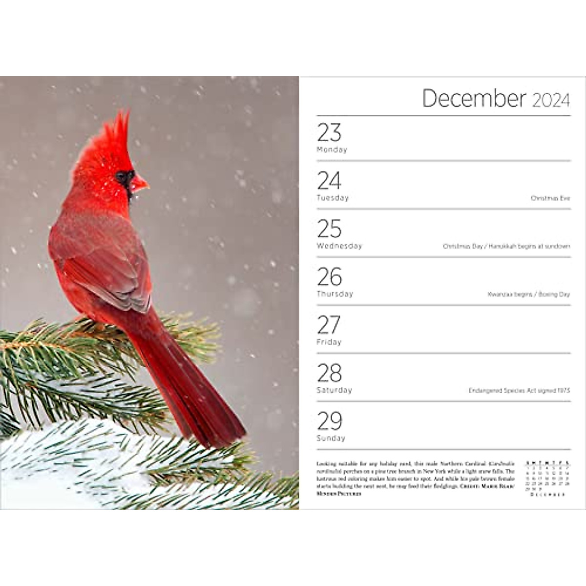 Audubon Engagement Calendar 2024: A Tribute to the Wilderness and Its Spectacular Landscapes