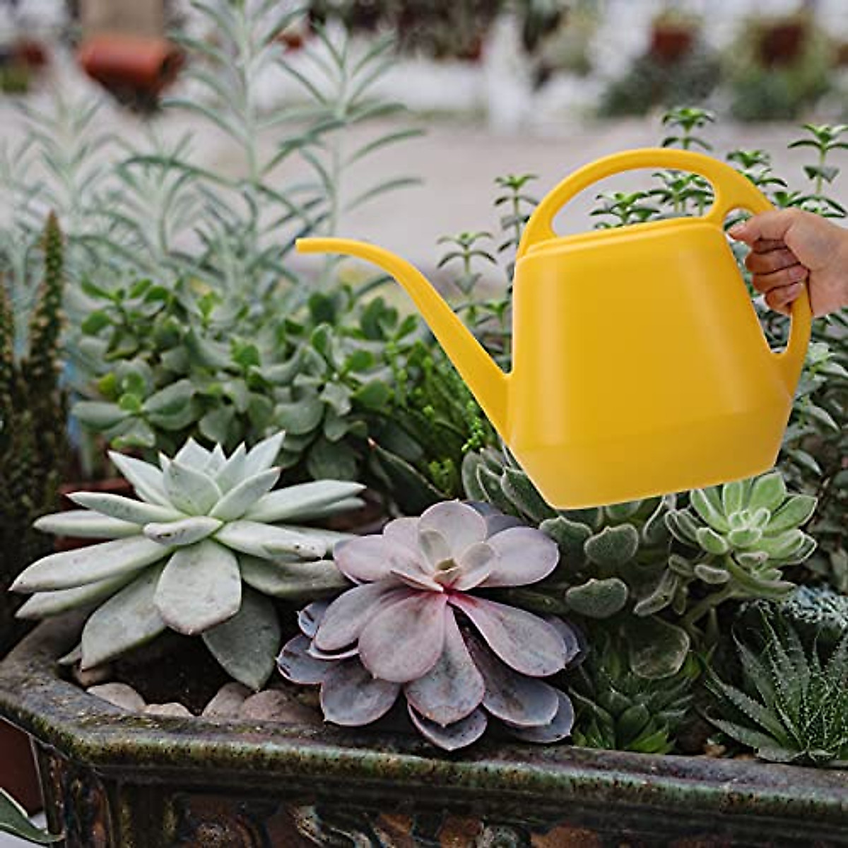 Housoutil 1pc Long Spout Watering Can Mouth Plastic Watering Pot Mister Spray Bottle Watering Can with Handle Plant Watering Can Water Pot for Plants Beach Kettle Handheld Pp