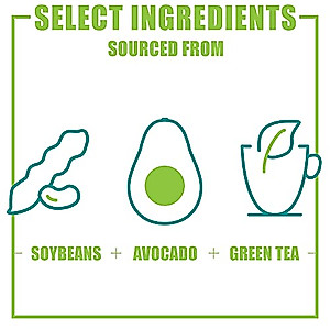 DASUQUIN MSM Soft Chews for Small to Medium Dogs, 1.1 lbs., Count of 84, 6.25 in