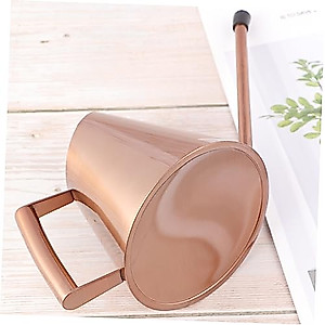 Happyyami 2pcs fine mist spray bottle tools for suculentas vintage decor metal watering plants bonsai watering can Flower Gardening Tool Succulent Watering Device long mouth vase