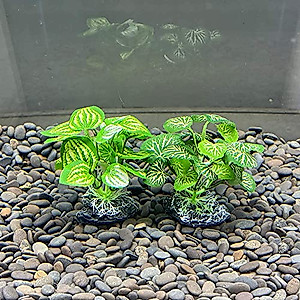 Smoothedo-Pets Aquarium Plants Betta Fish Tank Decorations 4inch/Small Size Soft Silk Artificial Plant Goldfish Waterscape Fish Hides Snake Tank/Reptiles Plants