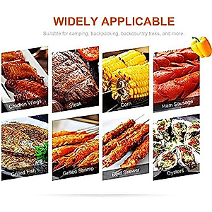 ZRSL Barbecue for Garden Party, Small Portable Picnic Grill, Fire Pit BBQ Silver Chrome Cooking Net Fire Pits for Garden Suitable for Garden, Terrace, Camping.