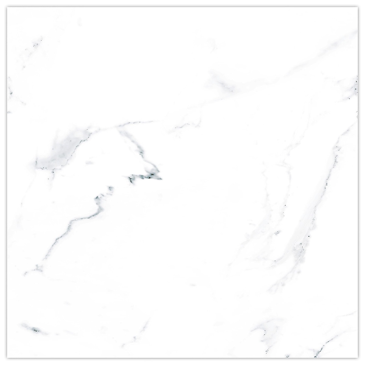 Merola Tile Timeless Calacatta 9-3/4" x 9-3/4" Porcelain Floor and Wall Tile