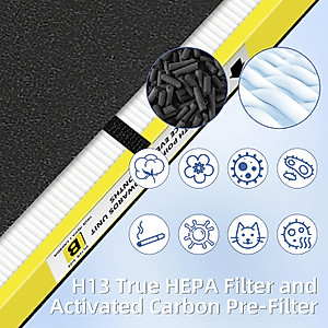 FLT4825 HEPA Filter B Replacement Compatible with G-Guardian Air Purifiers AC4825 AC4300 AC4800 AC4900 AC4850,4 H13 True HEPA Filters+8 Carbon Pre-Filters