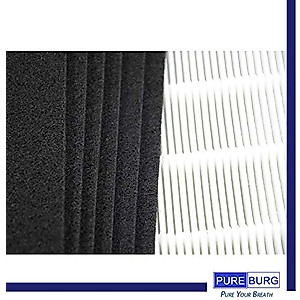 PUREBURG Replacement True HEPA Filter Set Compatible with Winix 115115, Filter A,9800 5300 6300 5300-2 6300-2 P300 C535 5000b 5000 5500 Plasma Wave WAC5300 WAC5500 WAC6300,H13 Activated carbon,2-Pack