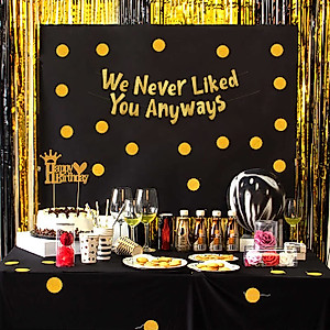 We Never Liked You Anyways – Going Away Party Gold Glitter Banner – Funny Farewell Party Decorations – We Will Miss You – Retirement Party – New Job Change – Moving Party Supplies, Ideas, and Gifts
