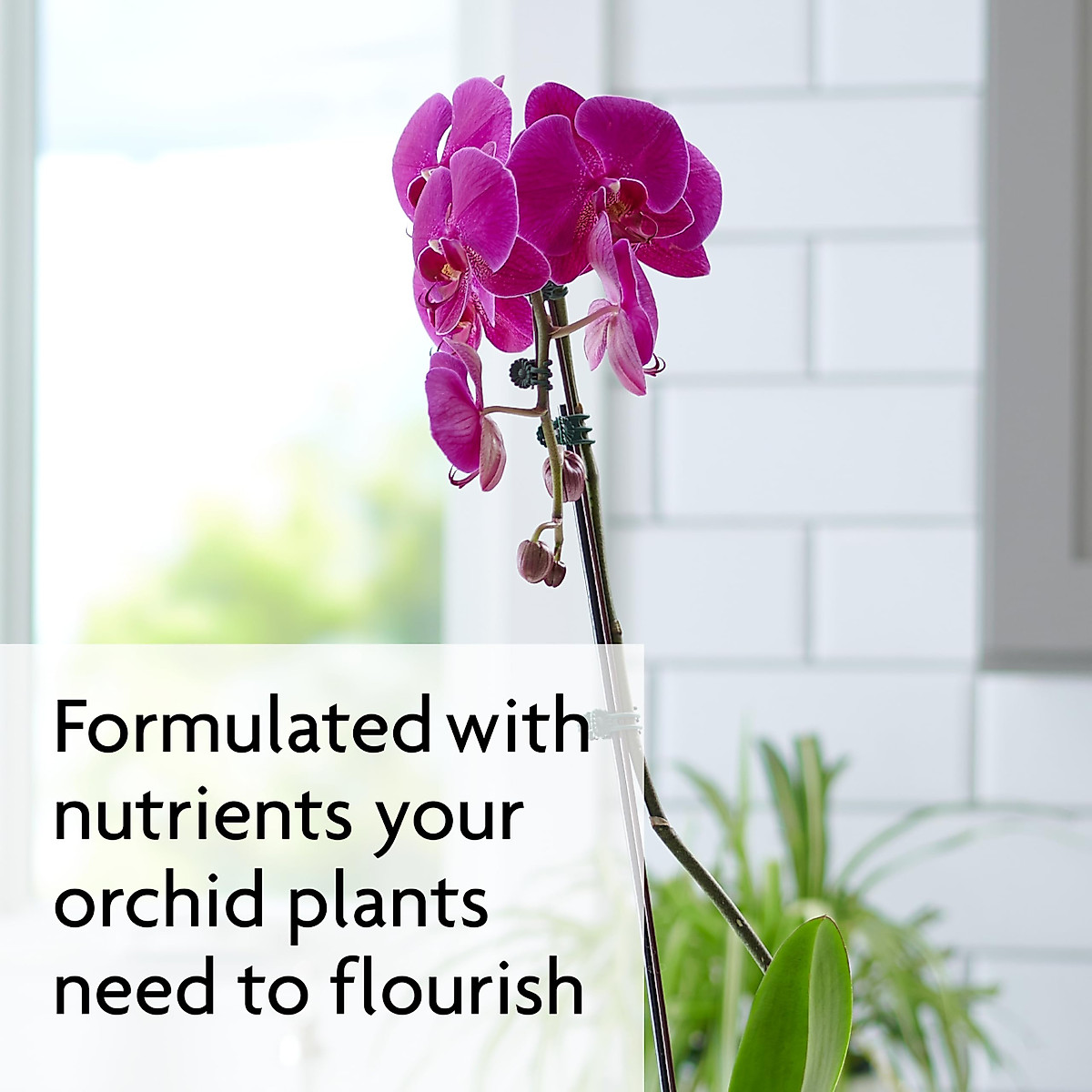 Miracle-Gro Orchid Potting Mix Coarse Blend, 8 qt.