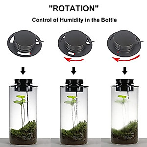 AREPK Desktop Glass Plant Terrarium with Grow Light (H:7.8" D:4"), for Succulent, Moss, Miniature Gardening Landscape, Betta Fish Tank, Indoor Plant Growth, Office Home Decoration, Plant Lovers Gifts