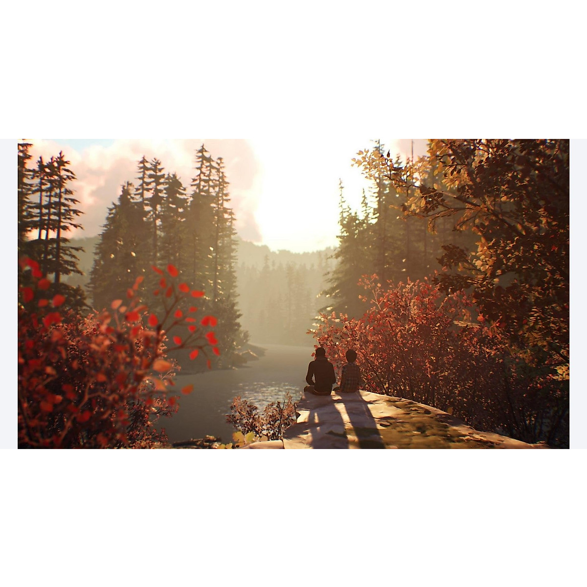 Life is Strange 2 (PS4)