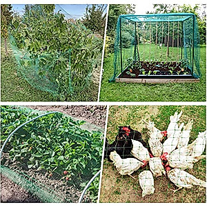 UWIOFF Garden Netting, 7 x 100 FT Bird Netting for Garden Protection, Green Deer Netting for Plants Fruit Trees Vegetables from Birds, Squirrels, Other Animals
