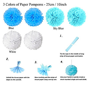 ZERODECO Birthday Decoration Set, Happy Birthday Banner Bunting with 4 Paper Fans Tissue 6 Paper Pom Poms Flower 10 Hanging Swirl and 20 Balloon for Birthday Party Decorations -Blue,Sky Blue and White