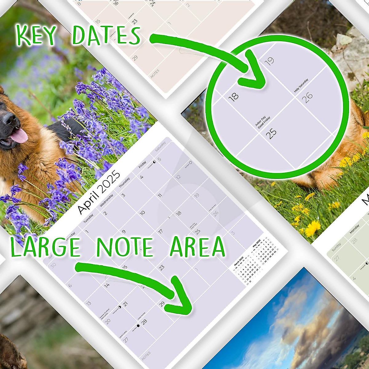 2024 2025 German Shepherd Calendar - Dog Breed Monthly Wall Calendar - 12 x 24 Open - Thick No-Bleed Paper - Giftable - Academic Teacher's Planner Calendar Organizing & Planning - Made in USA