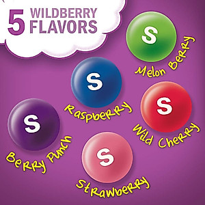Sk Wild Berry Flavor Candy Coated Fruit Chew Fun Size 1.5 Lbs Individually Wrapped Bulk Party Assortment 25+ Bite Size Mini Packs In Resealable Bag (24 Oz)