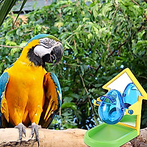 PATKAW Parrot Feeding Perch Bird Foraging Toy Parrot Foraging Toy Bird cage Feeder Parrot Training Toy Parrot Slow Feeder Birds Toys