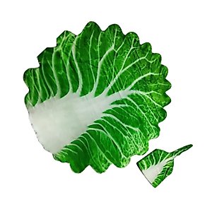 KOMBIUDA 1 Set Blankets Wrap Baby Softer Leaves with Creative Sleep Cabbage Newborn Props Photo Toddler Hat Green Background Photography Unisex Chinese Girl Funny Swaddle Memory for