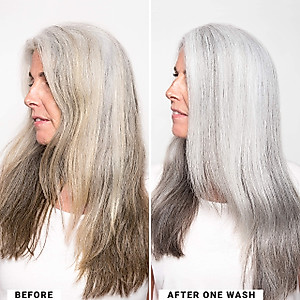 Beachwaver BRB Blonde Purple Shampoo | 6 Fl Oz - Award-Winning Anti-Brass Shampoo with Bond Multipliers - Nourishing & Moisturizing Formula with Tahitian Monoi Flower & Shea Butter