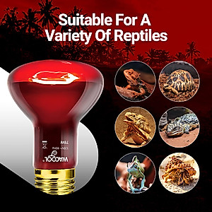 WACOOL 2 Pack Reptile Heat Lamp Bulbs,75W Infrared Basking Spot Light for Reptiles & Amphibians, Red Heat Lamp Bulb for Bearded Dragon Gecko Turtle Lizard