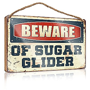 Wood For Crafts Signs Beware Of Sugar Glider Wooden Sign Posters For Boys Room Chill Wood Sign (Size : 23X35CM)