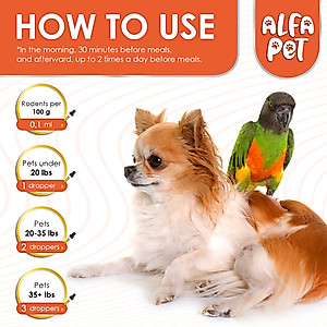 Liquid Herbal Cleanse for Cats and Dogs • Cats & Dogs Natural Broad Spectrum Cleanser • Dietary Supplement Drops for Cats and Dogs • Natural Broad Spectrum Cleanser for Pets • 2 oz