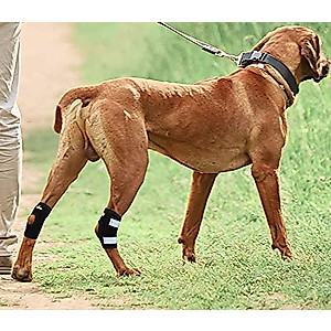 NeoAlly Super Supportive Dog Braces for Rear Leg and Hock Joint with Dual Metal Spring Strips Stabilize Canine hind Legs from Wound, Injury, Sprains, Arthritis (XL Pair)