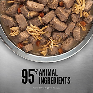 ORIJEN Chicken Recipe Stew with Shredded Chicken and Eggs Wet Dog Food, WholePrey Ingredients, 12.8oz (Case of 12)