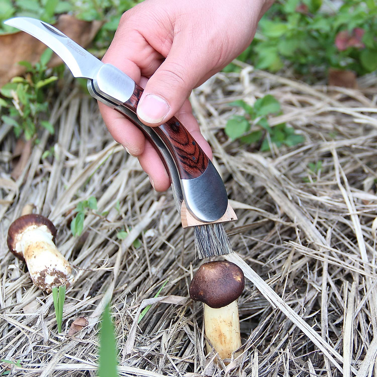 HANZIUP Folding Mushroom Knife with Neoprene Pouch Solid Wood Handle and Foldable Cleaning Brush