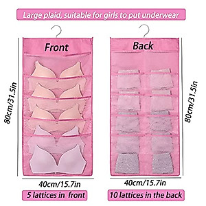 Anller Hanging Mesh Pockets, Dual Sided Wall Shelf Wardrobe Storage Bags, Closet Hanging Shelves with Rotating Metal Hanger, for Bra Socks Underwear Underpants, 2 Pack
