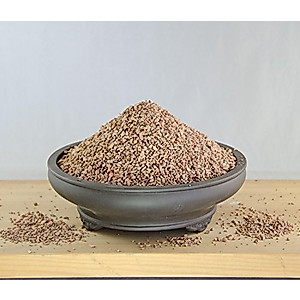 1 Quart Turface MVP for Cactus & Succulents, Garden House Plant, Bonsai Tree Soil Mix and Top Dressing - Inorganic Additive