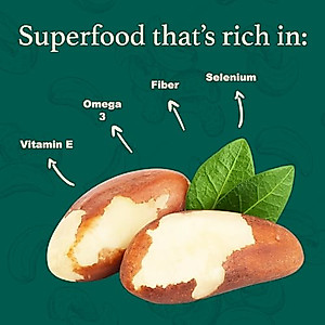 Raw Brazil Nuts 32oz (2 lb) Distinct and Superior to Organic | No PPO Non GMO Batch Tested Gluten & Peanut Free Herbicides Or Pesticides Vegan Keto Friendly Large, Fresh Resealable bag.