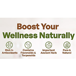 Go Nutra Ginkgo Biloba Extract Powder 10:1 Extra Strength Ginkgo Leaf | 8 oz. Pure Non-GMO