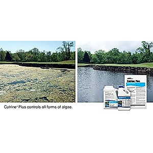 Cutrine Plus Granular Algaecide- 12 Lb. Pail