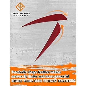 THREE ARCHERS 40 PK Arrow Feather Fletching 4” Nature Turkey Feather for Archery DIY Arrows (red)