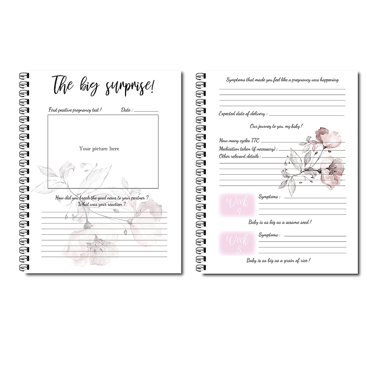 Pregnancy Journal (english)