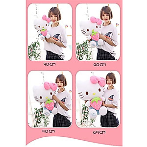 Hello Kitty Plush Toys, Cute Soft Doll Toys, Birthday Gifts for Girls (30CM, Pink A)